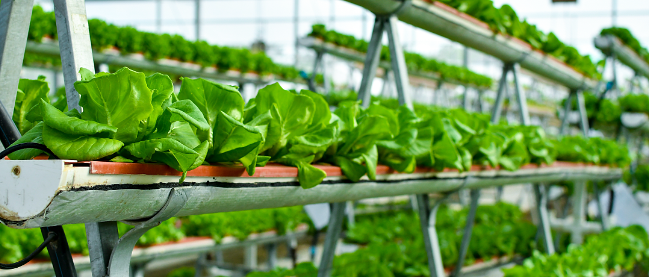 RIS Inspire - Sustainable Food Production and Consumption | EIT Food ...