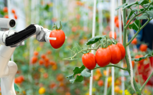 EIT Food course catalogue | EIT Food Learning Services