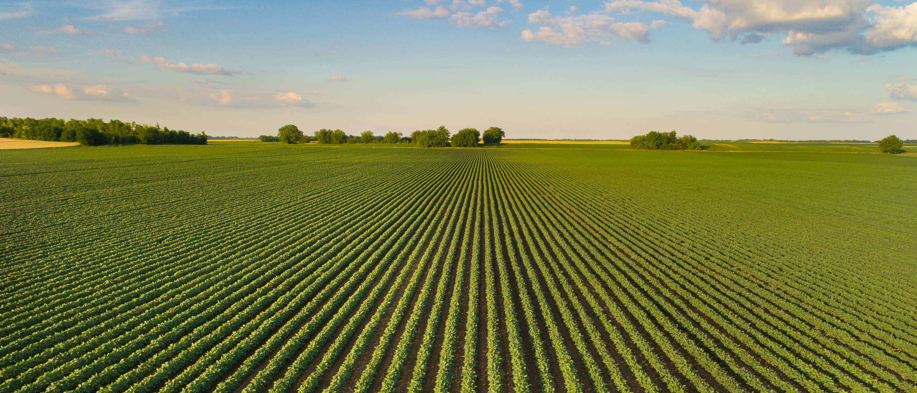 GROW on the Go - Sustainable Farming Course | EIT Food Learning Services