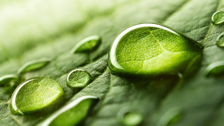 Water-Food Nexus: the Future of Water and Food Security | EIT Food ...