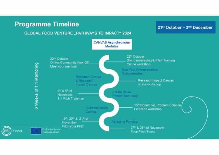 Pathways to Impact for PhDs | EIT Food Learning Services