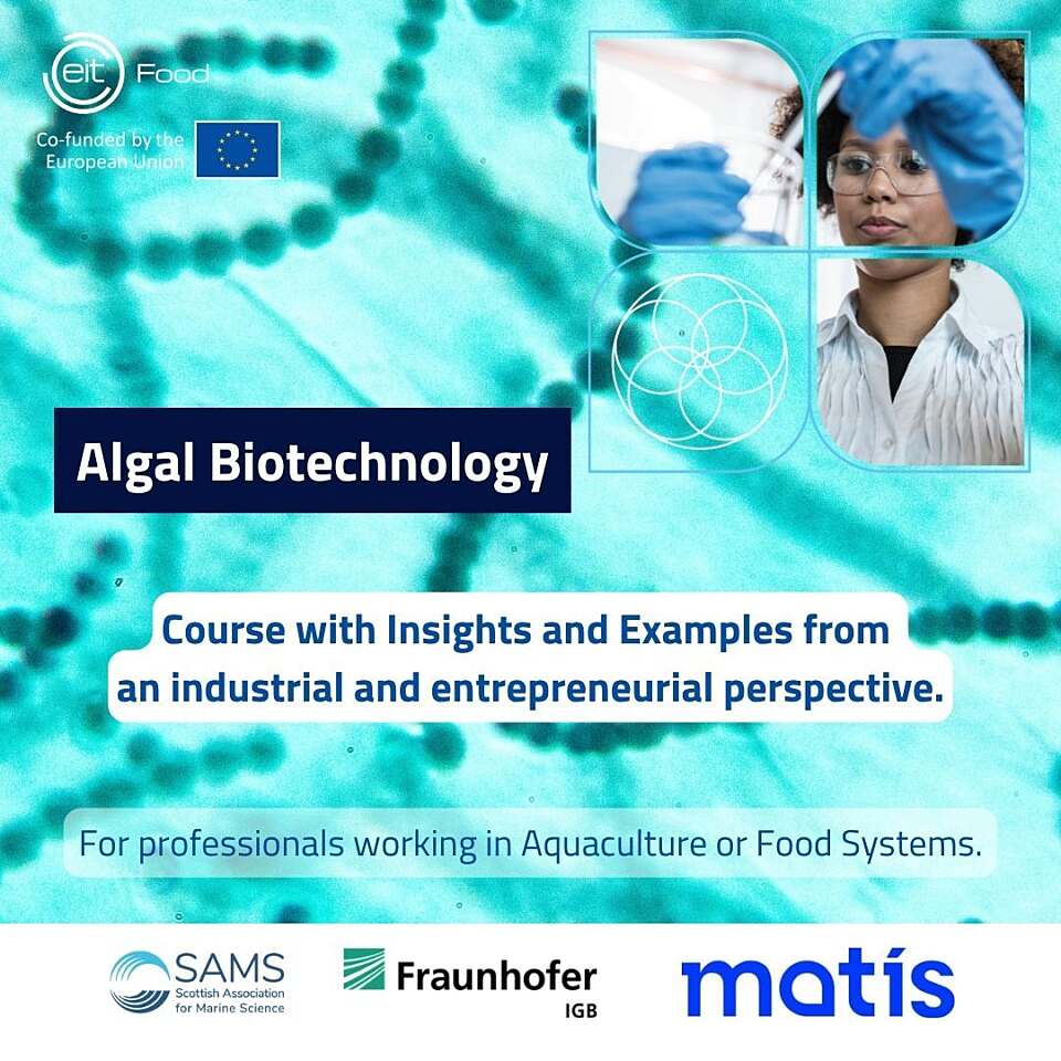 Algal Biotechnology | EIT Food Learning Services