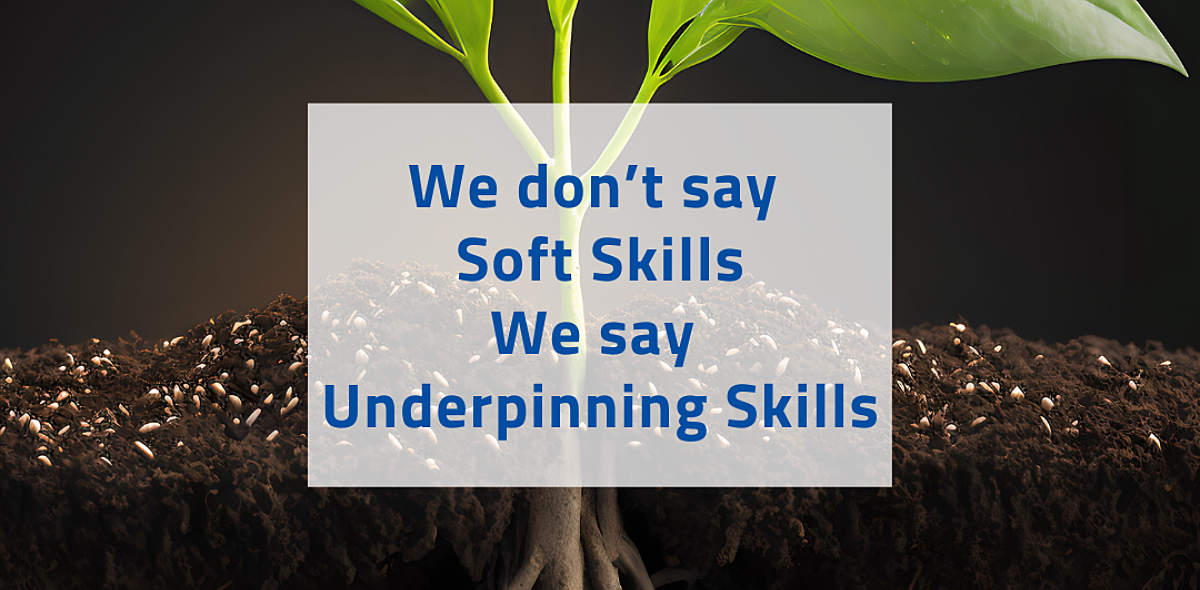 Underpinning Skills are essential roots for growth and development ...