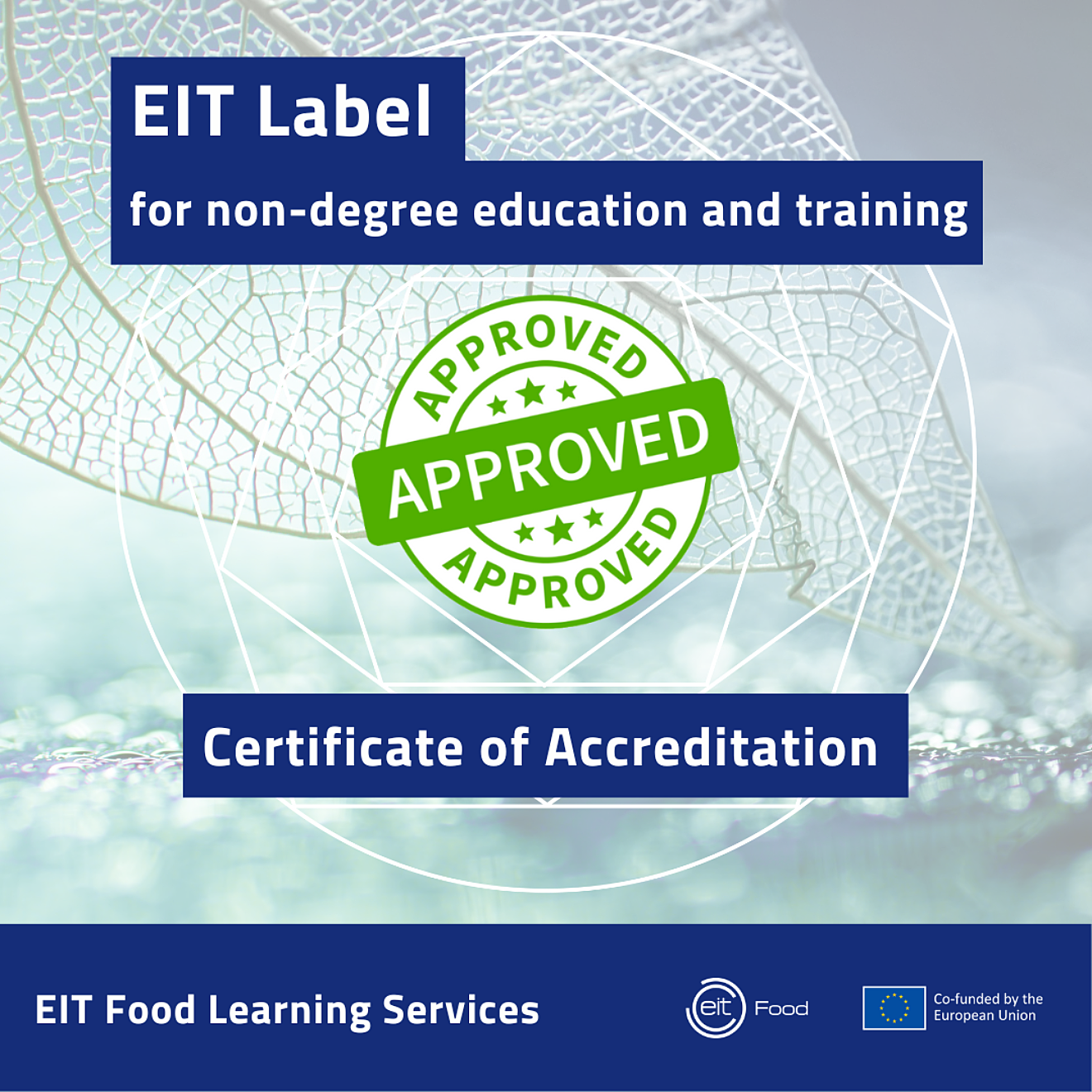 Great news! We are thrilled to announce that a large number of our EIT Food Education Programmes ...