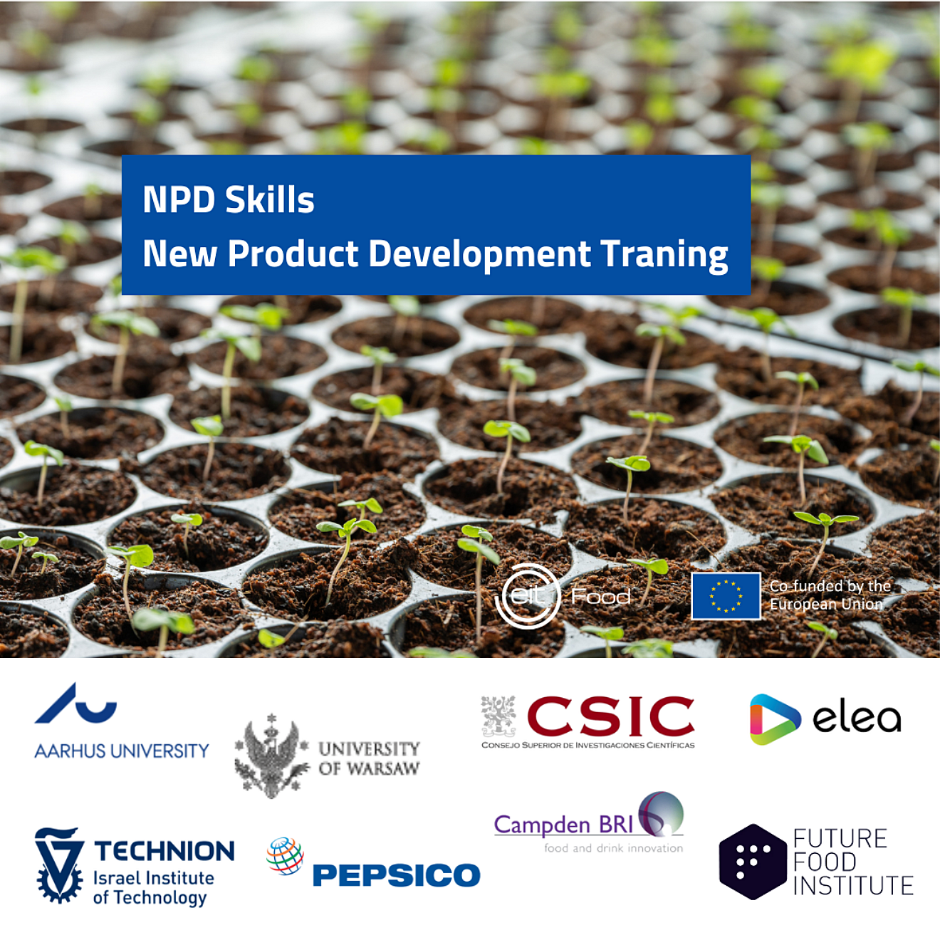 Chasing the dream: How NPD Skills helped Mary Katsounotou break into ...